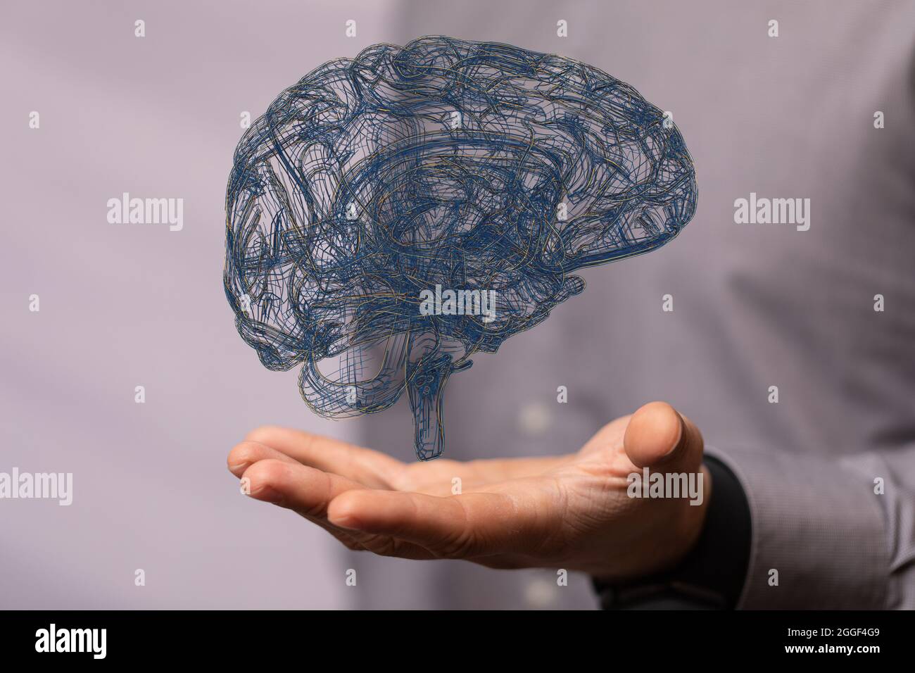 3D rendering of a brain in man's hand isolated on a gray background ...