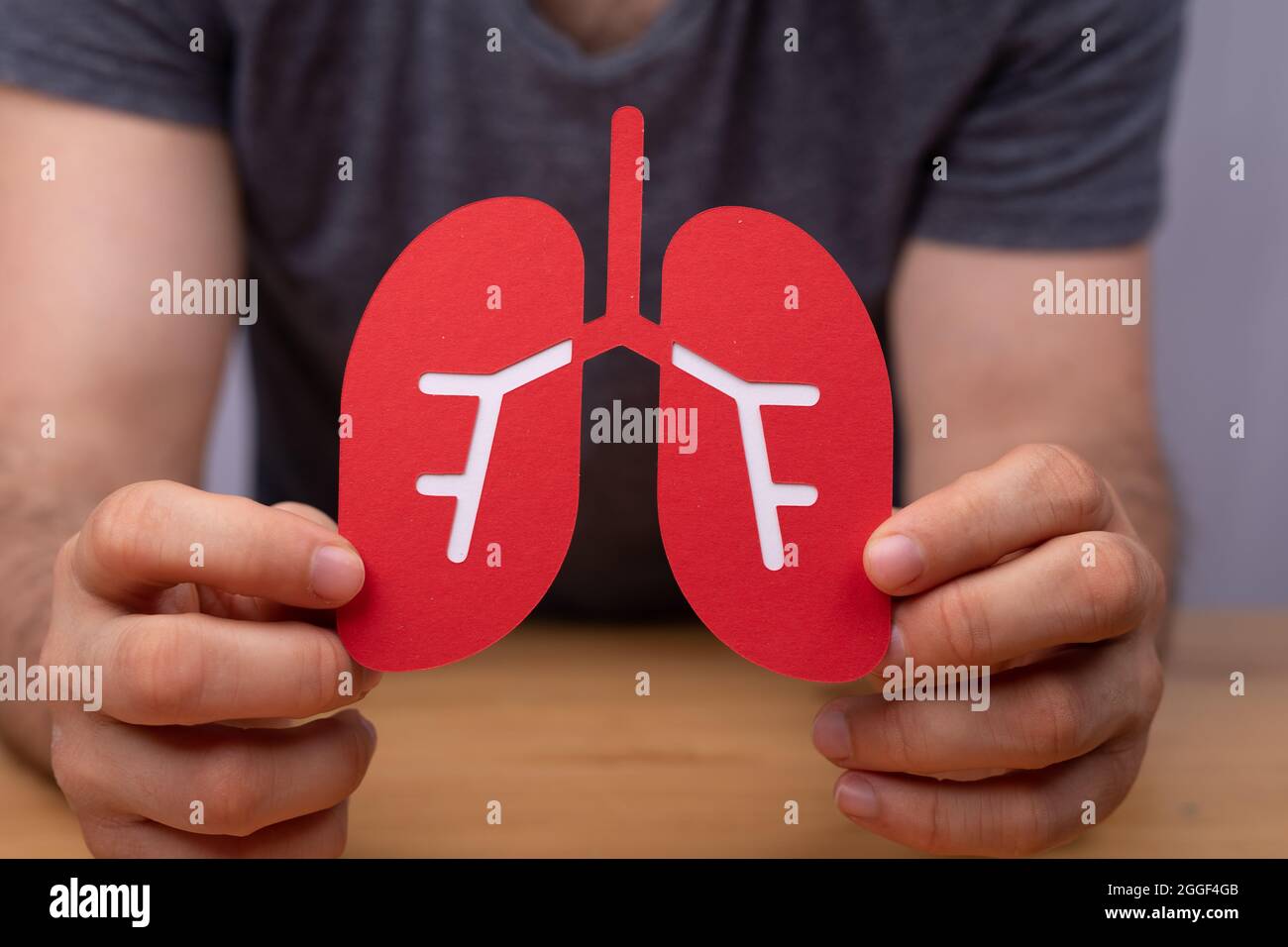 Respiratory system in male anatomy hi-res stock photography and images ...