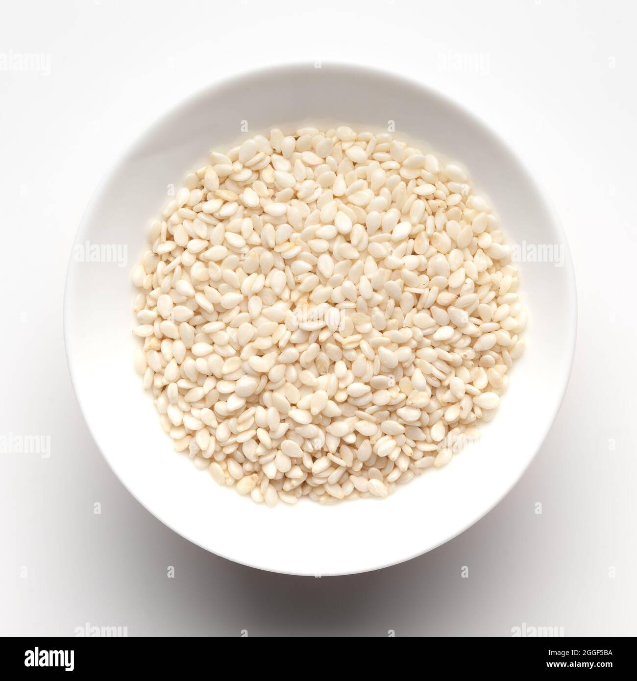 Til without shell hi-res stock photography and images - Alamy