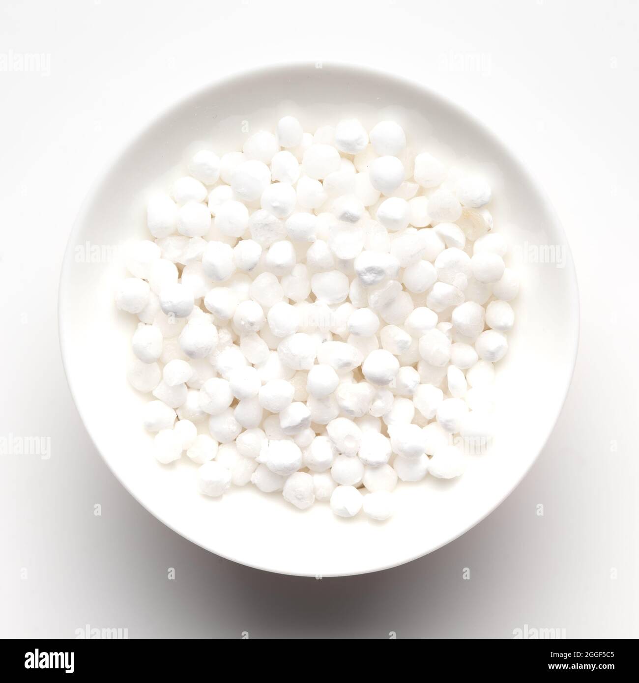 Macro Close up of organic white sago or sabudana big size inside a ...