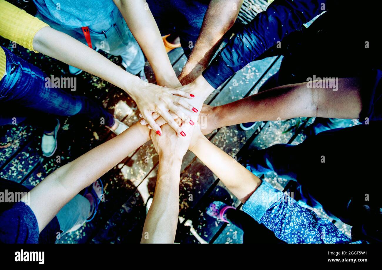 Concept partnership. Group of Photographers Partners Team with hands ...