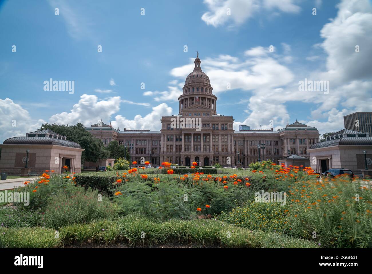Austin texas white horse hi-res stock photography and images - Alamy