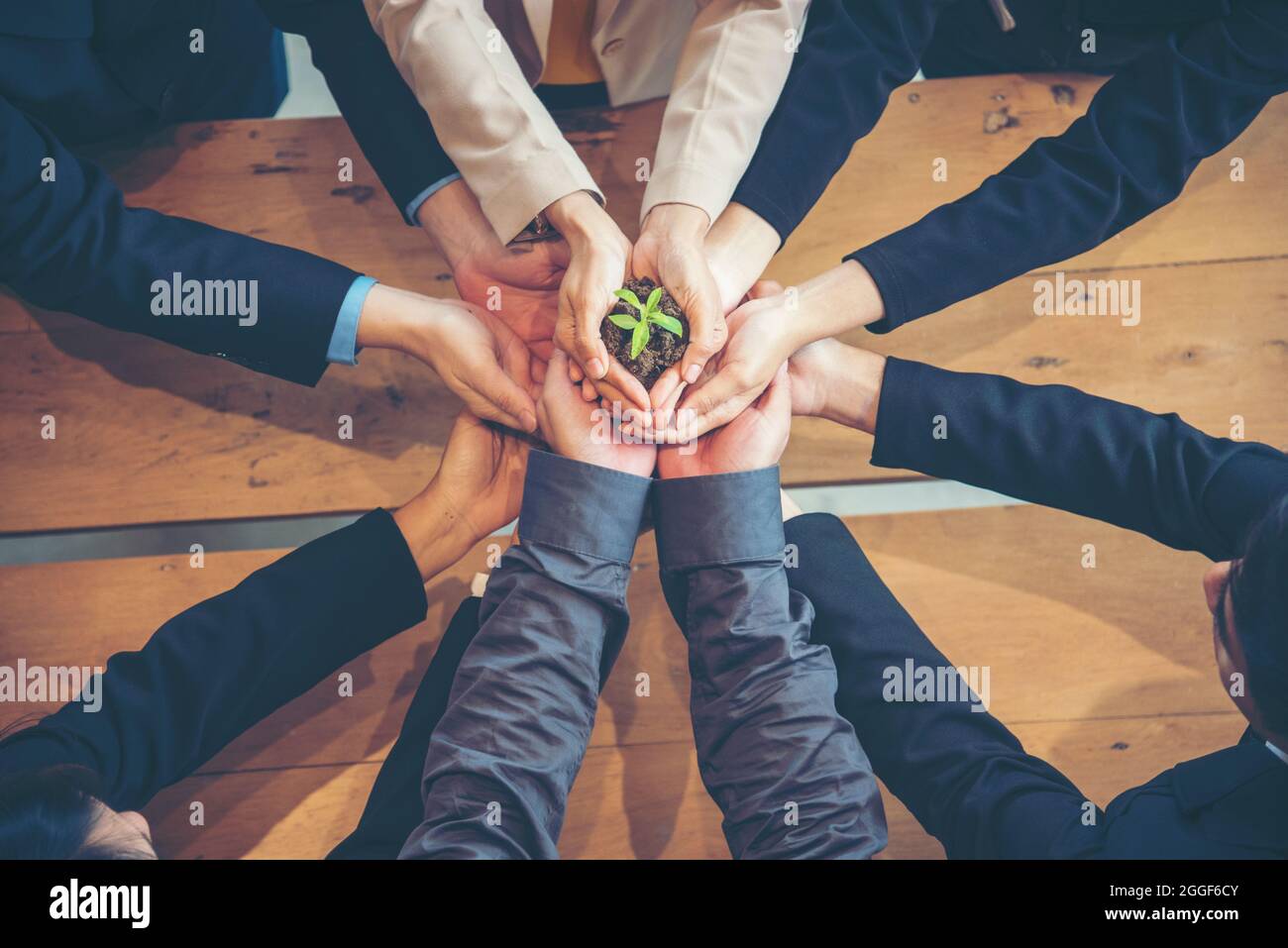 Green Business Meeting. United Partners Team with hands together ...