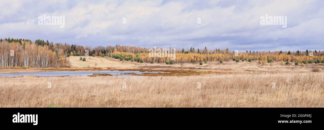 autumn plain landscape. fall low sky with clouds, trees with yellow ...