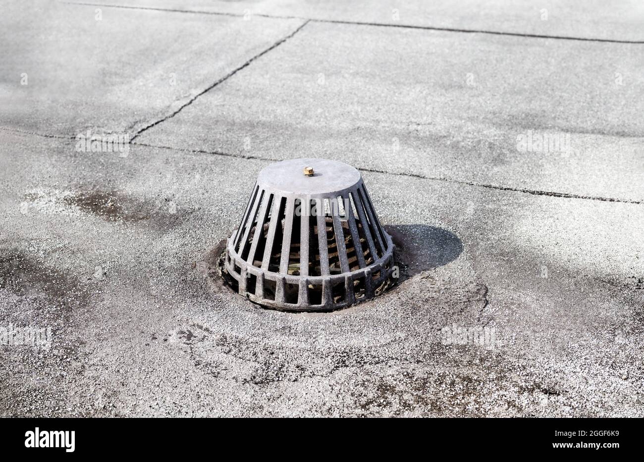 Caged roof drain on flat roof with exposed modified bitumen membrane ...