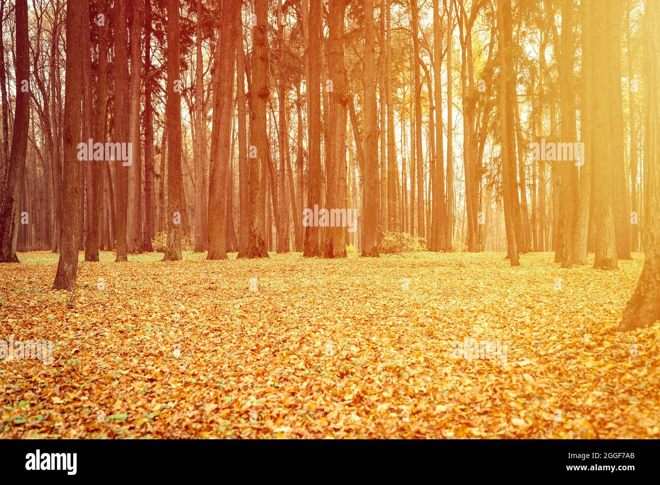 Ground flare hi-res stock photography and images - Alamy