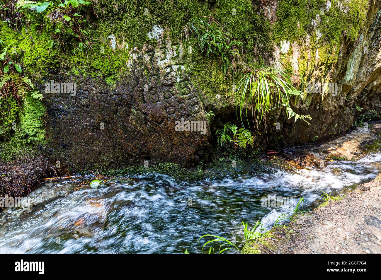 Garden water feature algae hi-res stock photography and images - Alamy