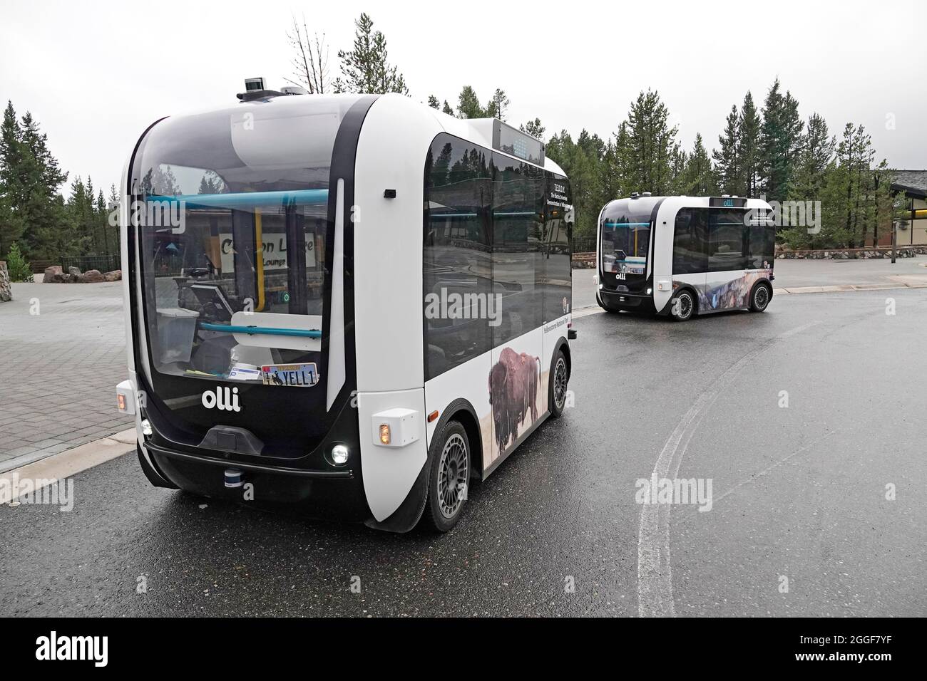 A driverless, electric, public transport shuttle in Yellowstone ...