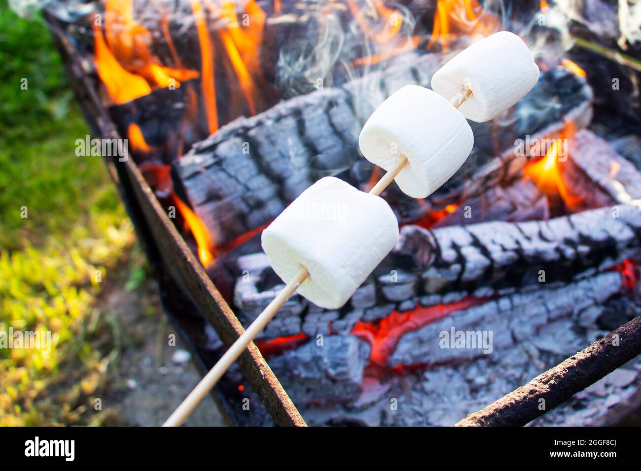 marshmallow on a stick being roasted over a camping fire Stock Photo ...
