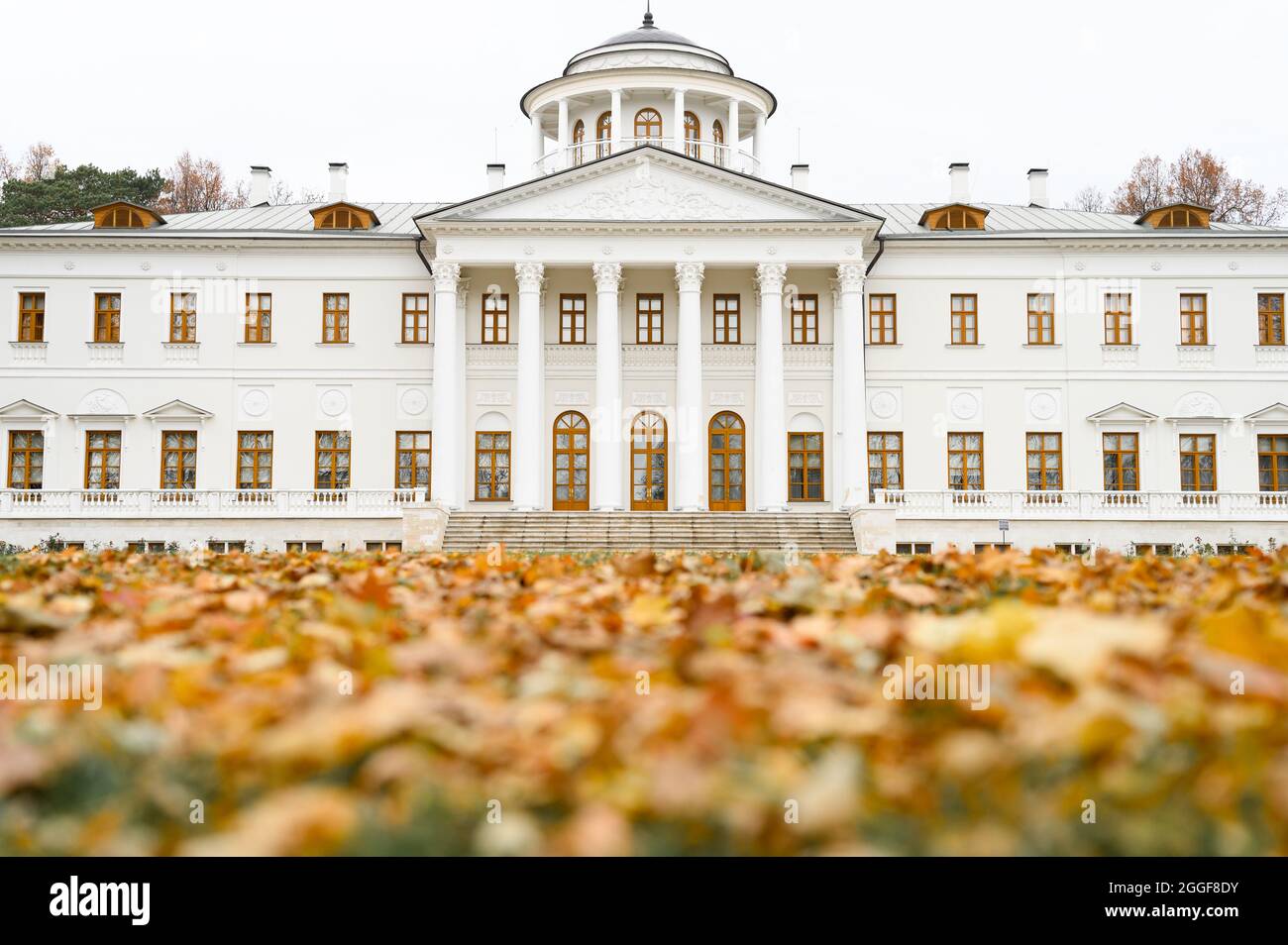 white building of the estate with columns and autumn fallen leaves of a ...