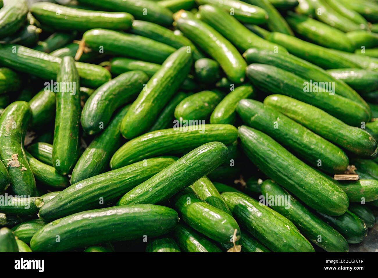 Pile of fresh cucumbers on counter in supermarket Stock Photo - Alamy