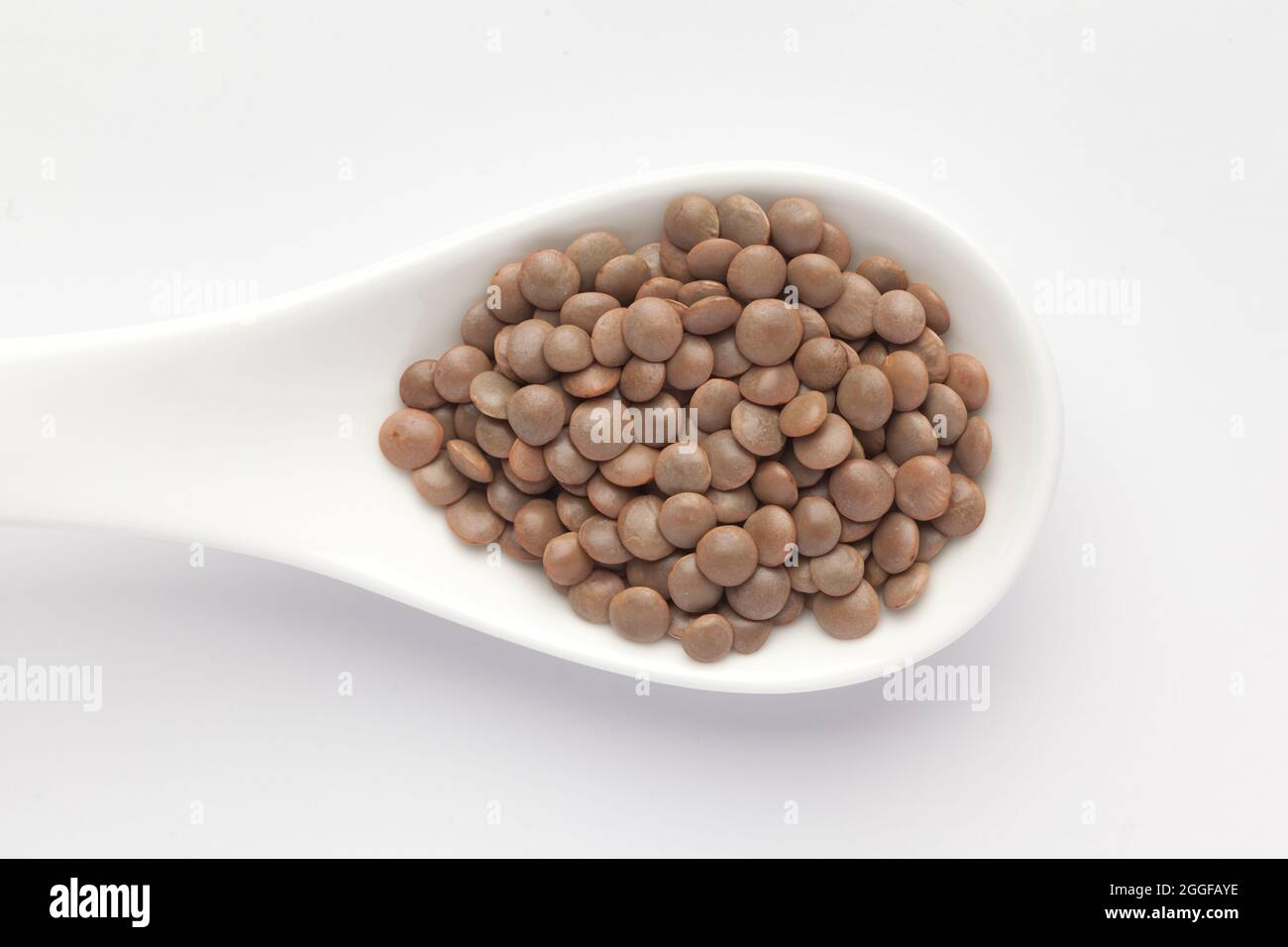 Indian Macro Lens High Resolution Stock Photography and Images - Alamy