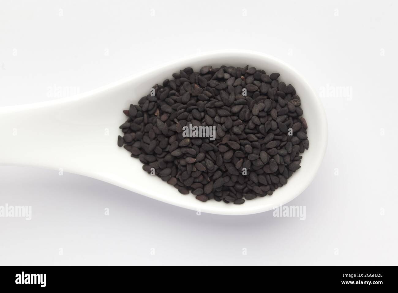 Black til with shell hi-res stock photography and images - Alamy