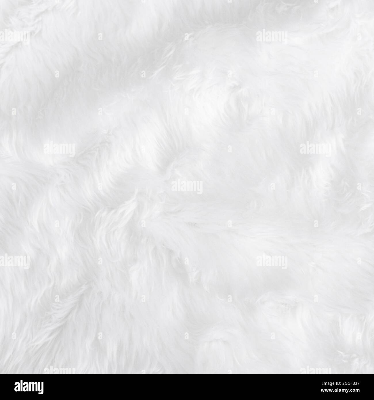 Wool skin hi-res stock photography and images - Alamy