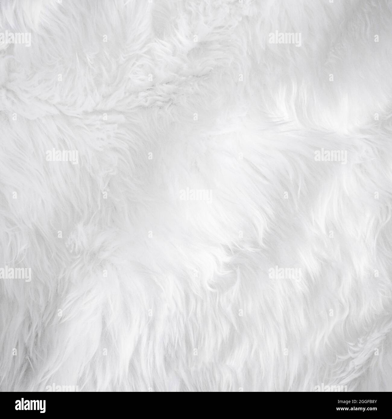 Seamless Wolf Fur Texture