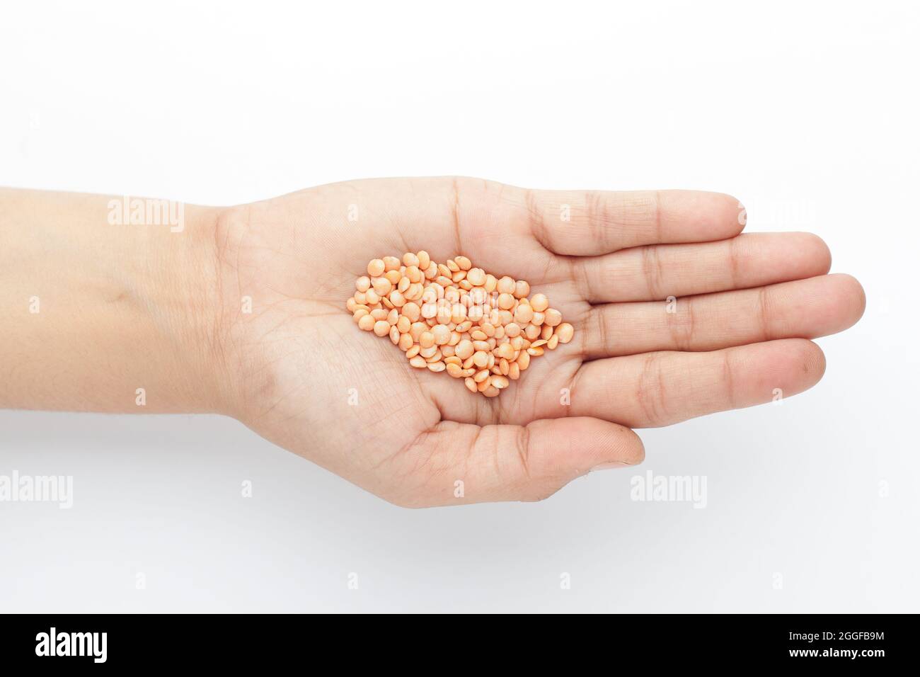 Macro Close-up of Organic masoor dal (Lens culinaris) or whole pink dal ...