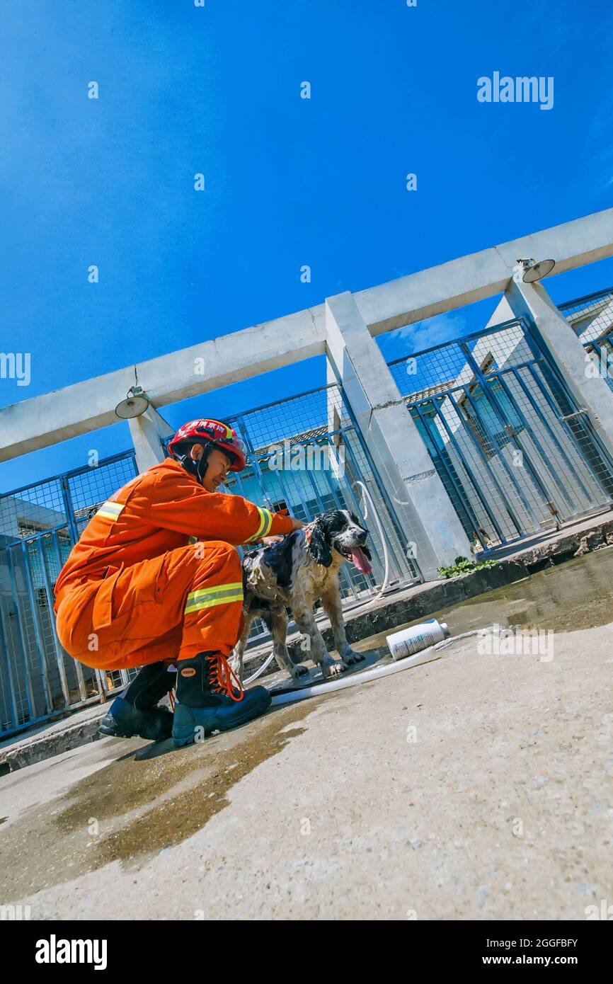 Nanjing. 31st Aug, 2021. Ouyang Honghong, a fire department dog handler ...
