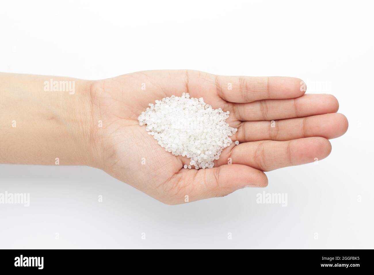 Macro Close up of organic white sago or sabudana small size on the palm ...