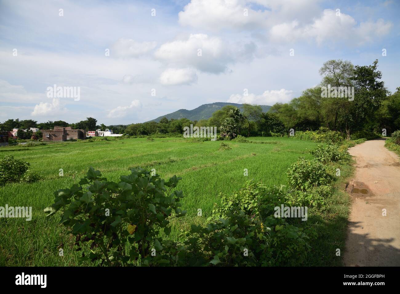 Susunia Hill. It is a part of the Eastern Ghats. Bankura, West Bengal ...