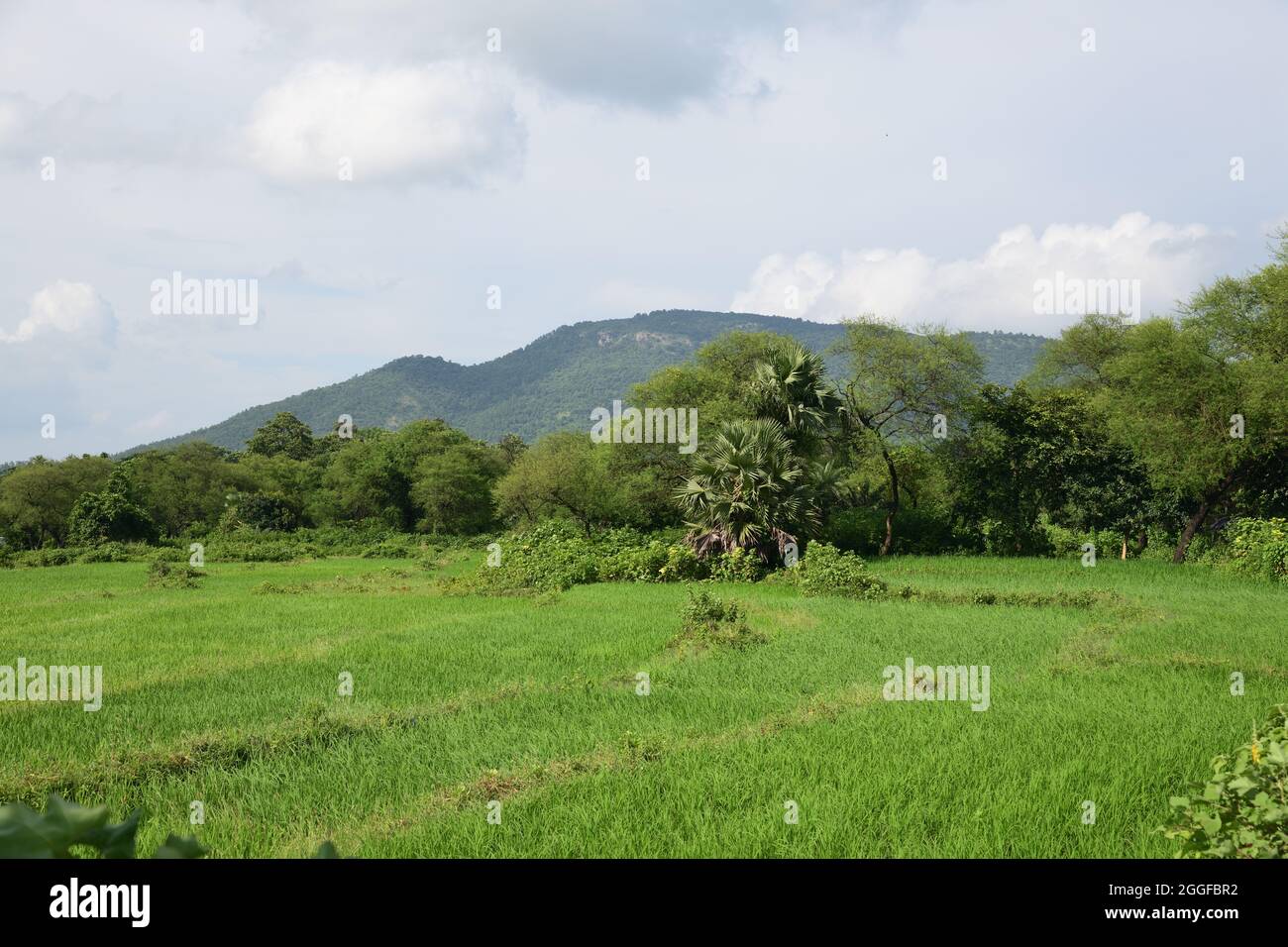 Susunia Hill. It is a part of the Eastern Ghats. Bankura, West Bengal ...