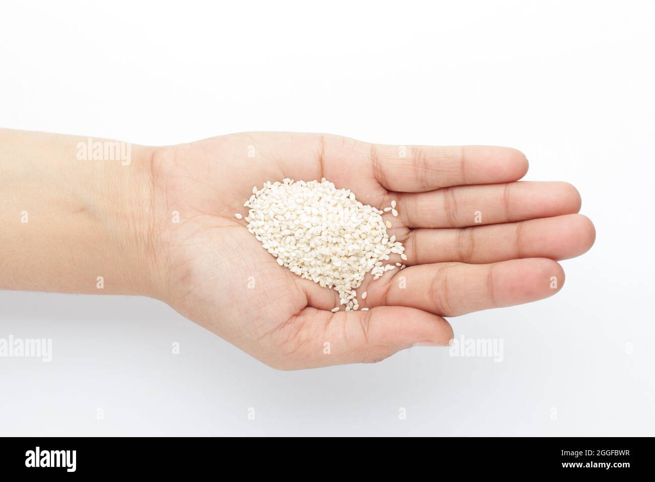 Til without shell hi-res stock photography and images - Alamy