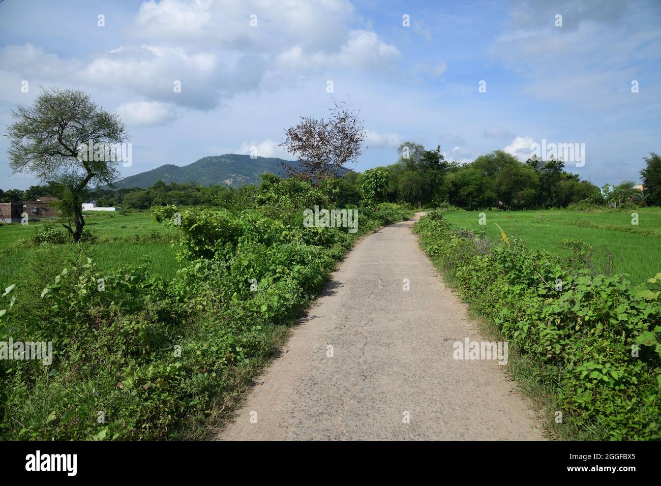 Susunia pahar hi-res stock photography and images - Alamy