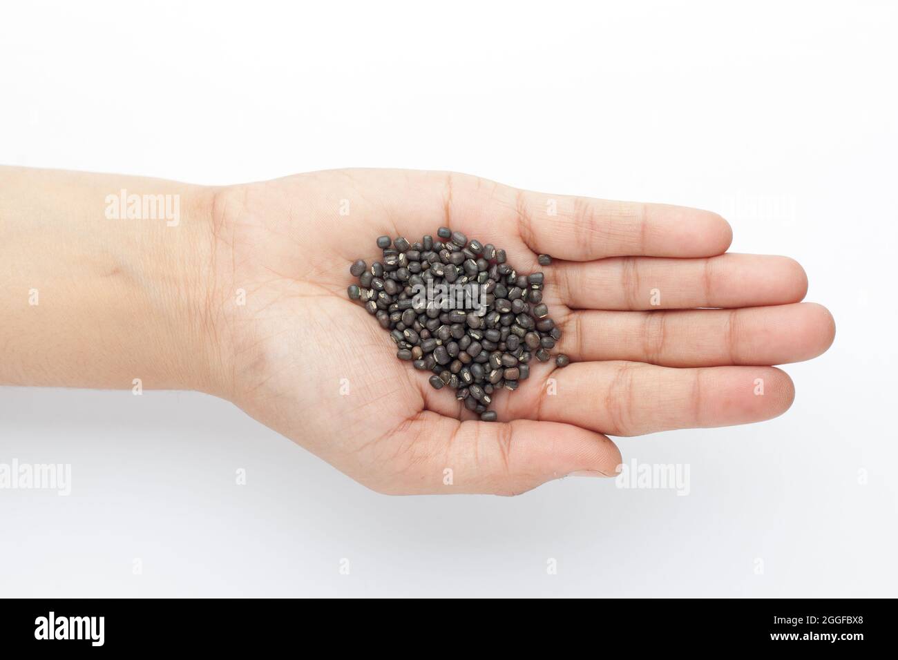 Black Gram High Resolution Stock Photography and Images - Alamy