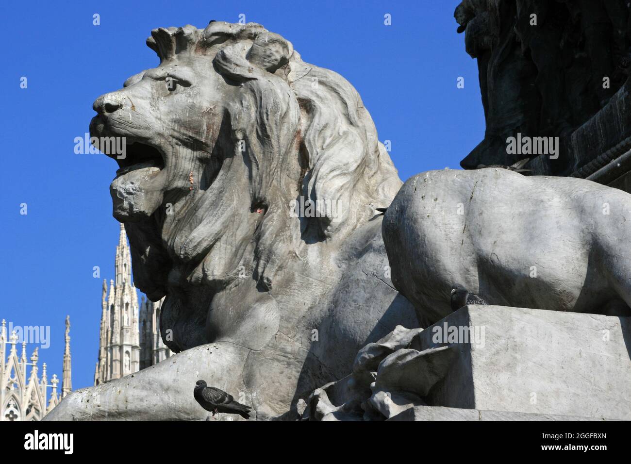 statue of a lion in milan (italy Stock Photo - Alamy