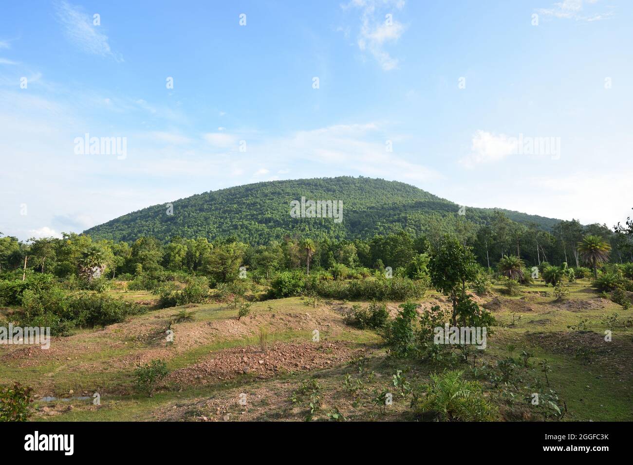 Susunia Hill. It is a part of the Eastern Ghats. Bankura, West Bengal ...