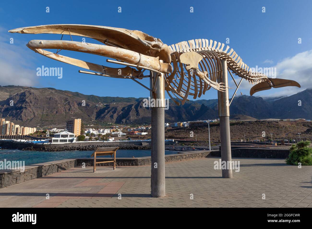 Los Silos (Tenerife island Stock Photo - Alamy