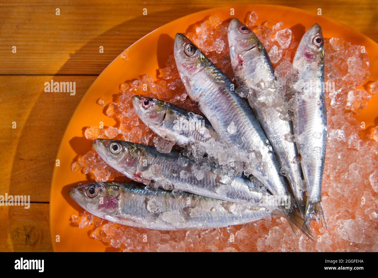 Presentation of fresh anchovies fished with ice Stock Photo - Alamy