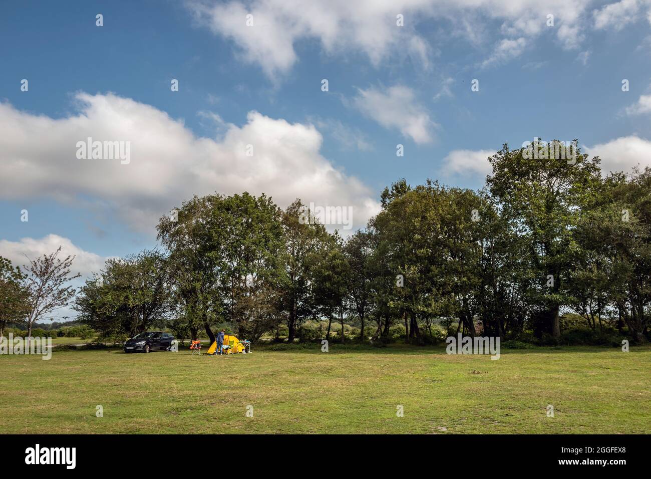 New Forest, August 24th 2021: Ocknell Campsite in the New Forest Stock ...