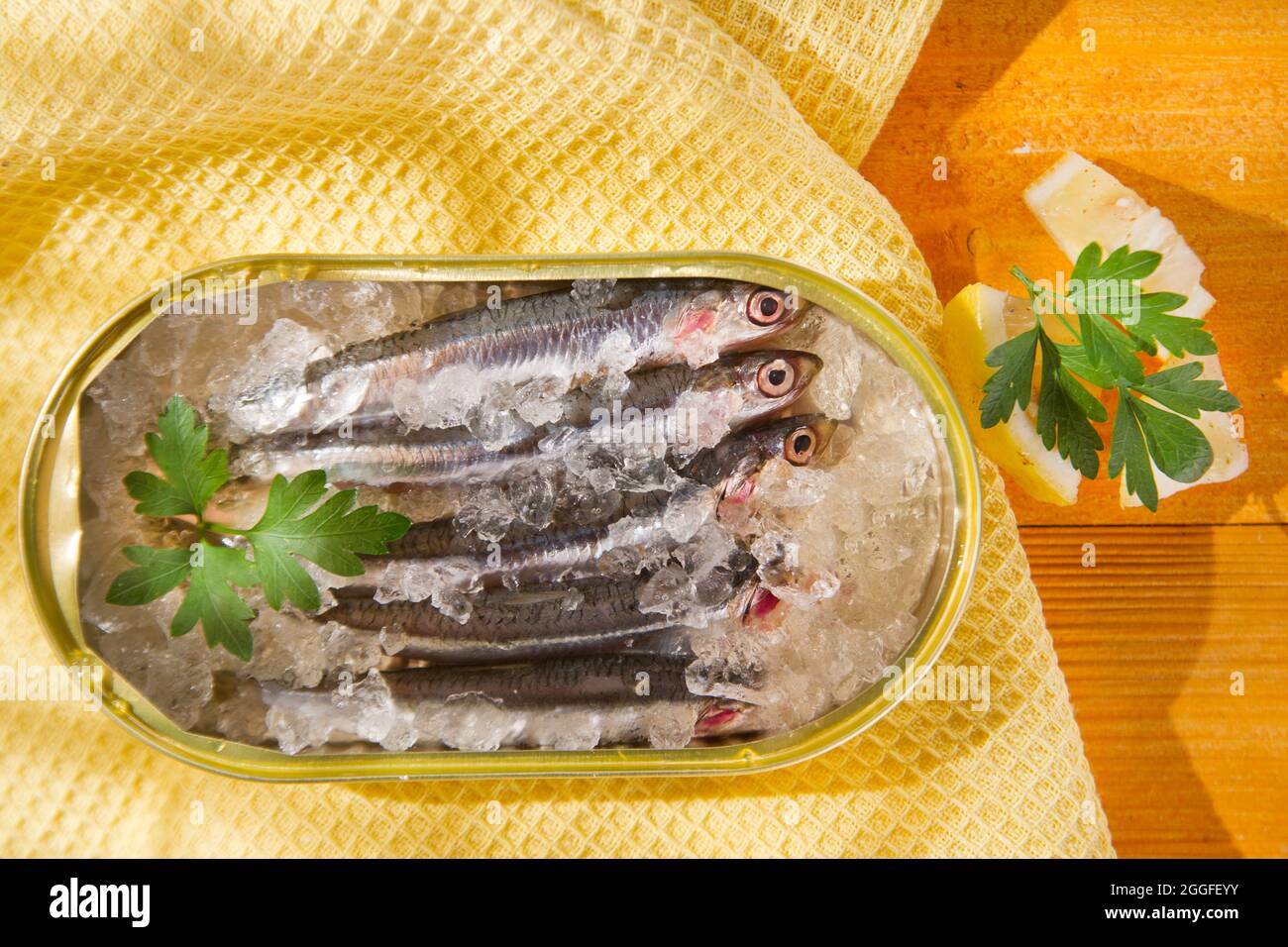 Presentation of fresh anchovies fished with ice Stock Photo - Alamy