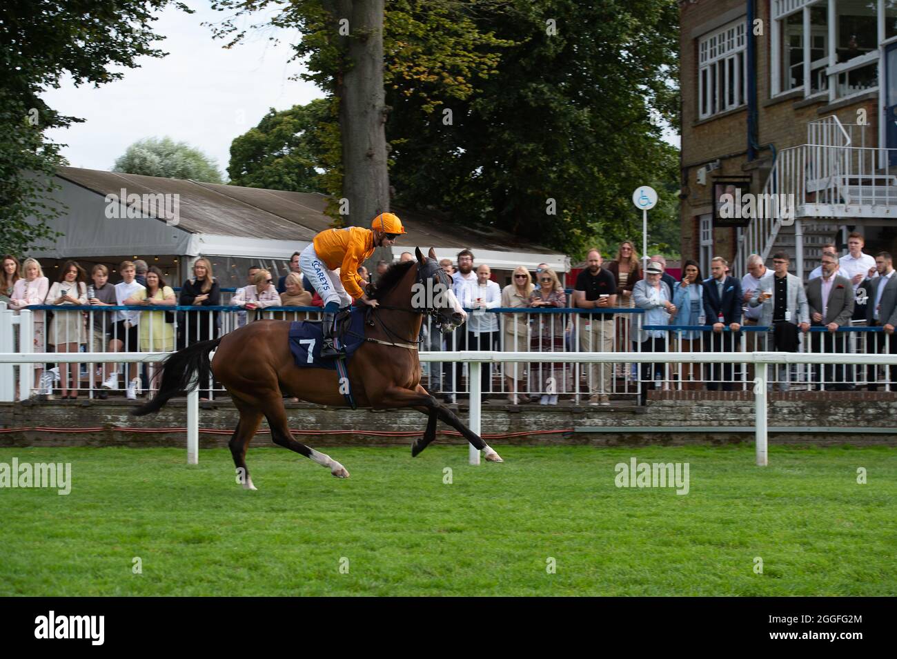 Dressed as pink flamingo hi-res stock photography and images - Alamy