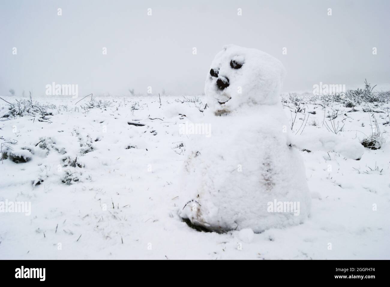 Real snowman hi-res stock photography and images - Alamy