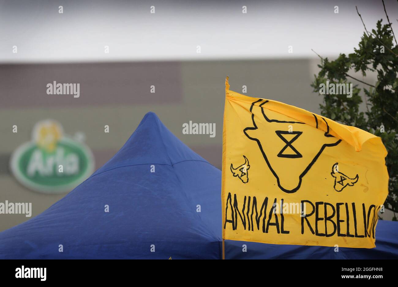 Animal rebellion flag hi-res stock photography and images - Alamy