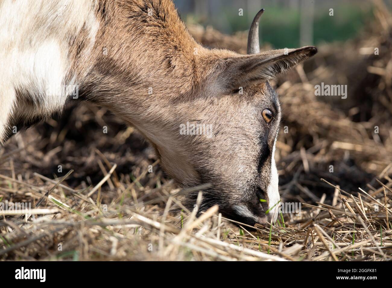 Portrait documentation hi-res stock photography and images - Alamy