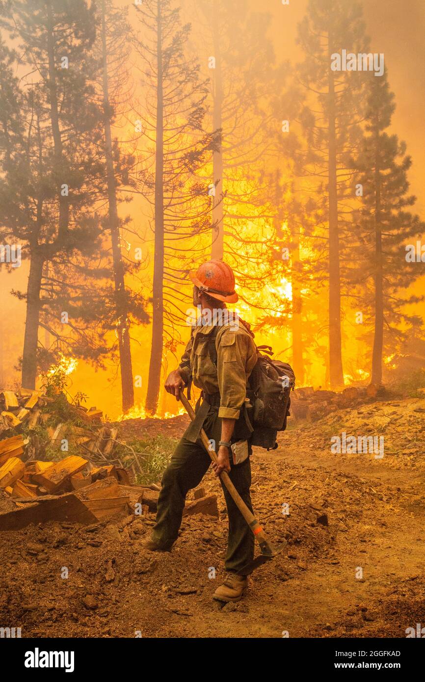 A hotshot firefighter checks the fire’s progress as flames approach ...
