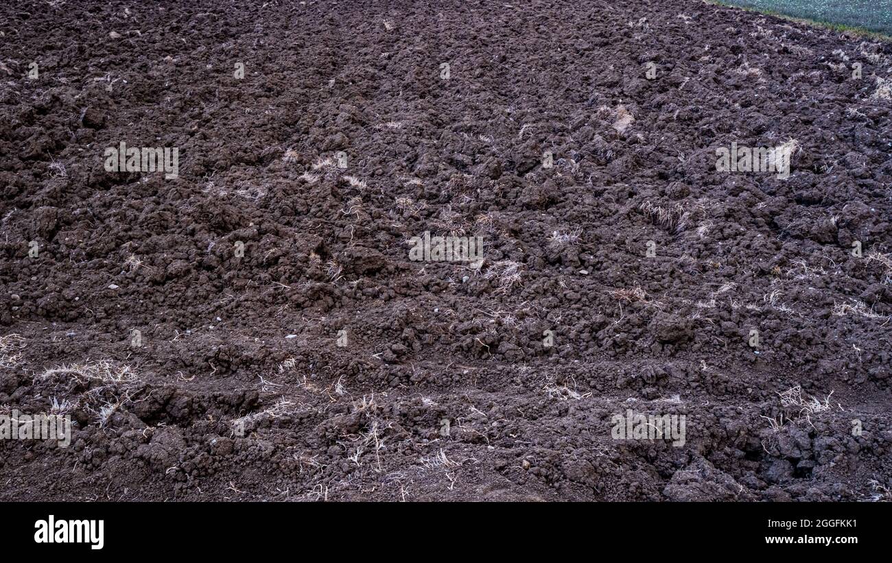 Plants with clods of earth hi-res stock photography and images - Alamy