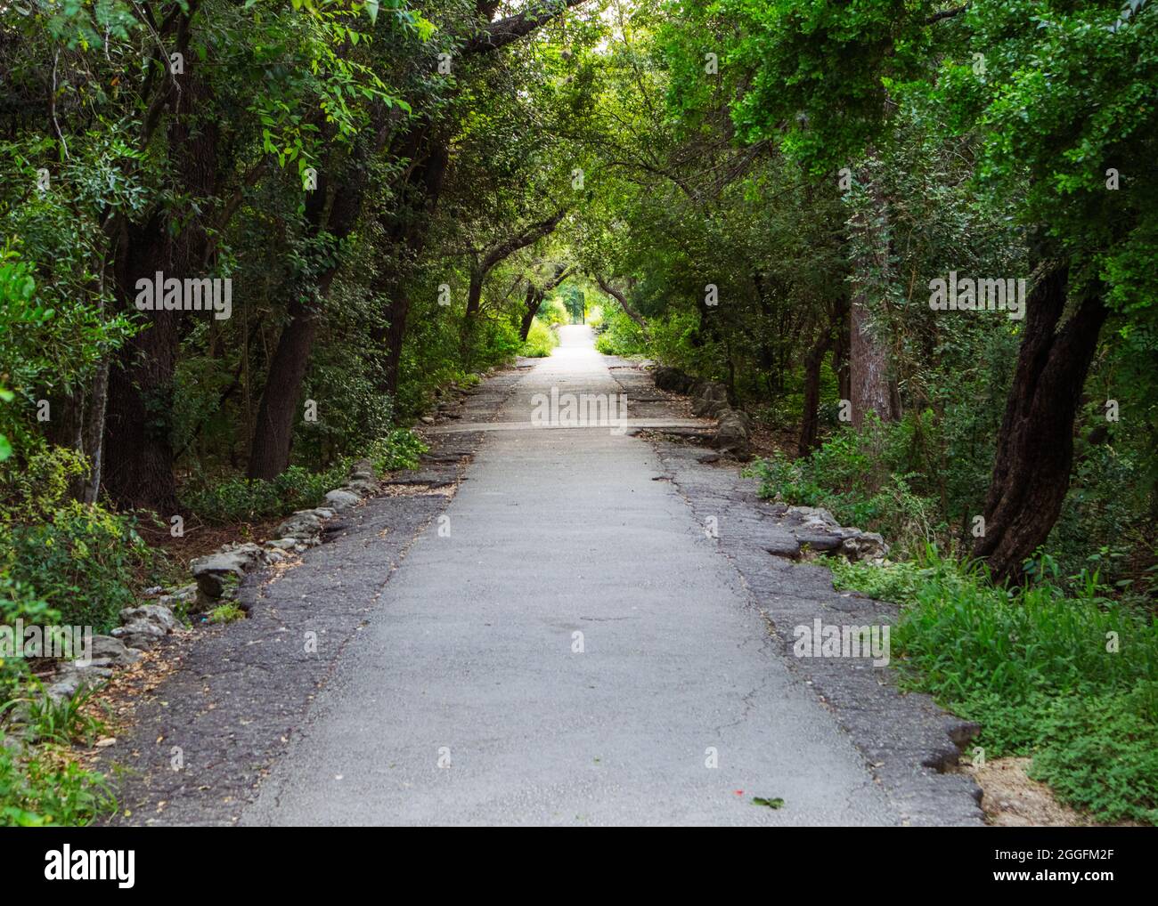Cement trail with leading lines Stock Photo - Alamy