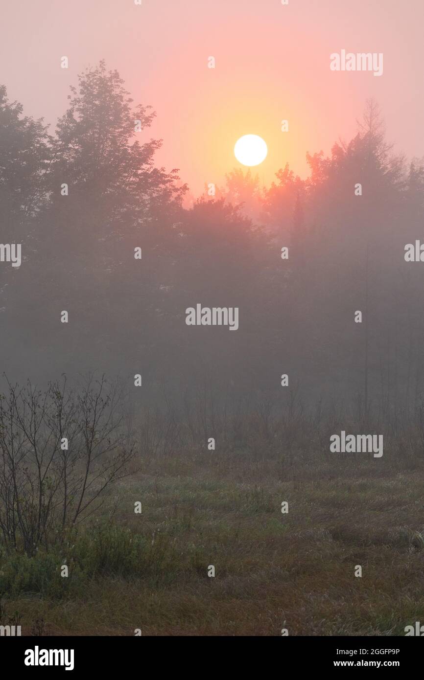 Fog sunrise light rays sunburst sunbeams sunshine hi-res stock ...