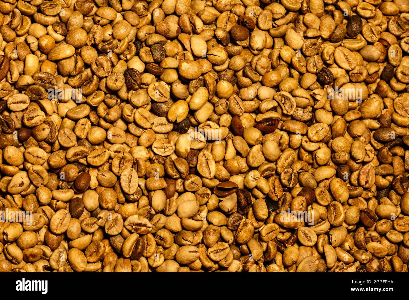 Closeup of light roasted yellow coffee beans. Top view, yellow coffee ...