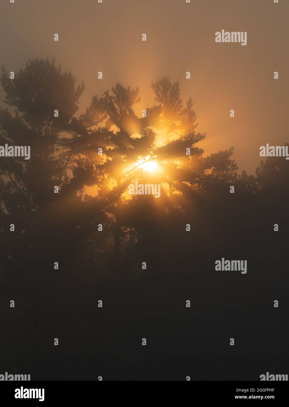 Mystical look hi-res stock photography and images - Alamy