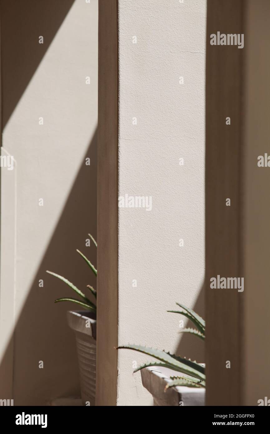 abstract lines of arches with flowers. art and design concept. shadow ...