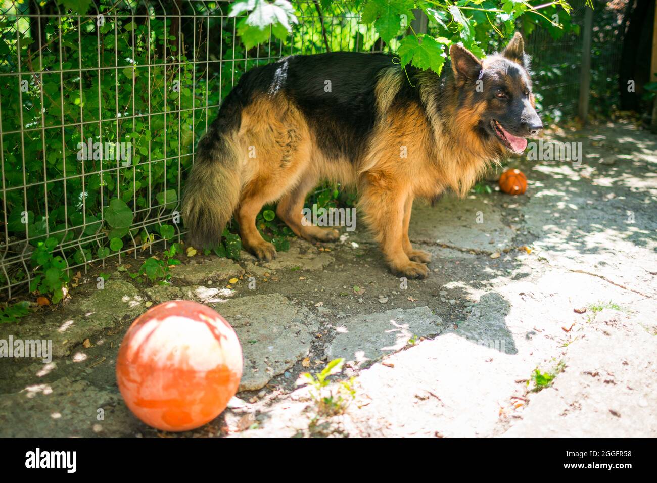 German house burst hi-res stock photography and images - Alamy