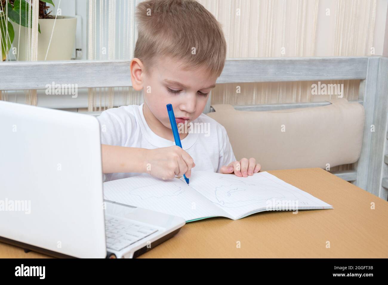 Distance learning online education. Concentrated boy drawing in ...