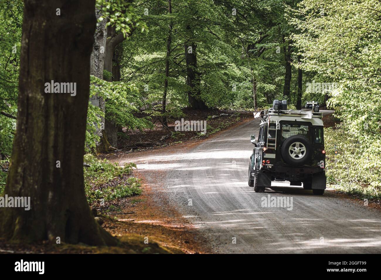 Photo of a van or car driving on countryside in the forest or woods ...