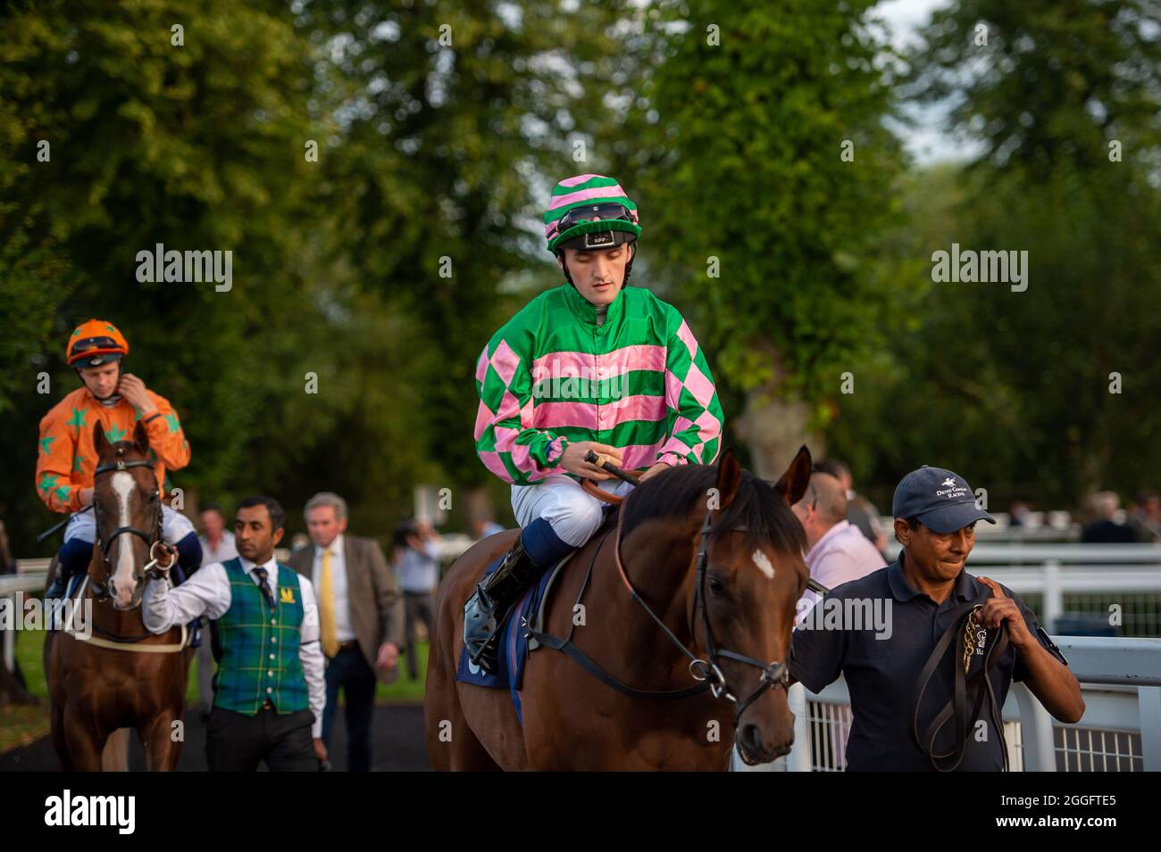Kevin blake horse hi-res stock photography and images - Alamy
