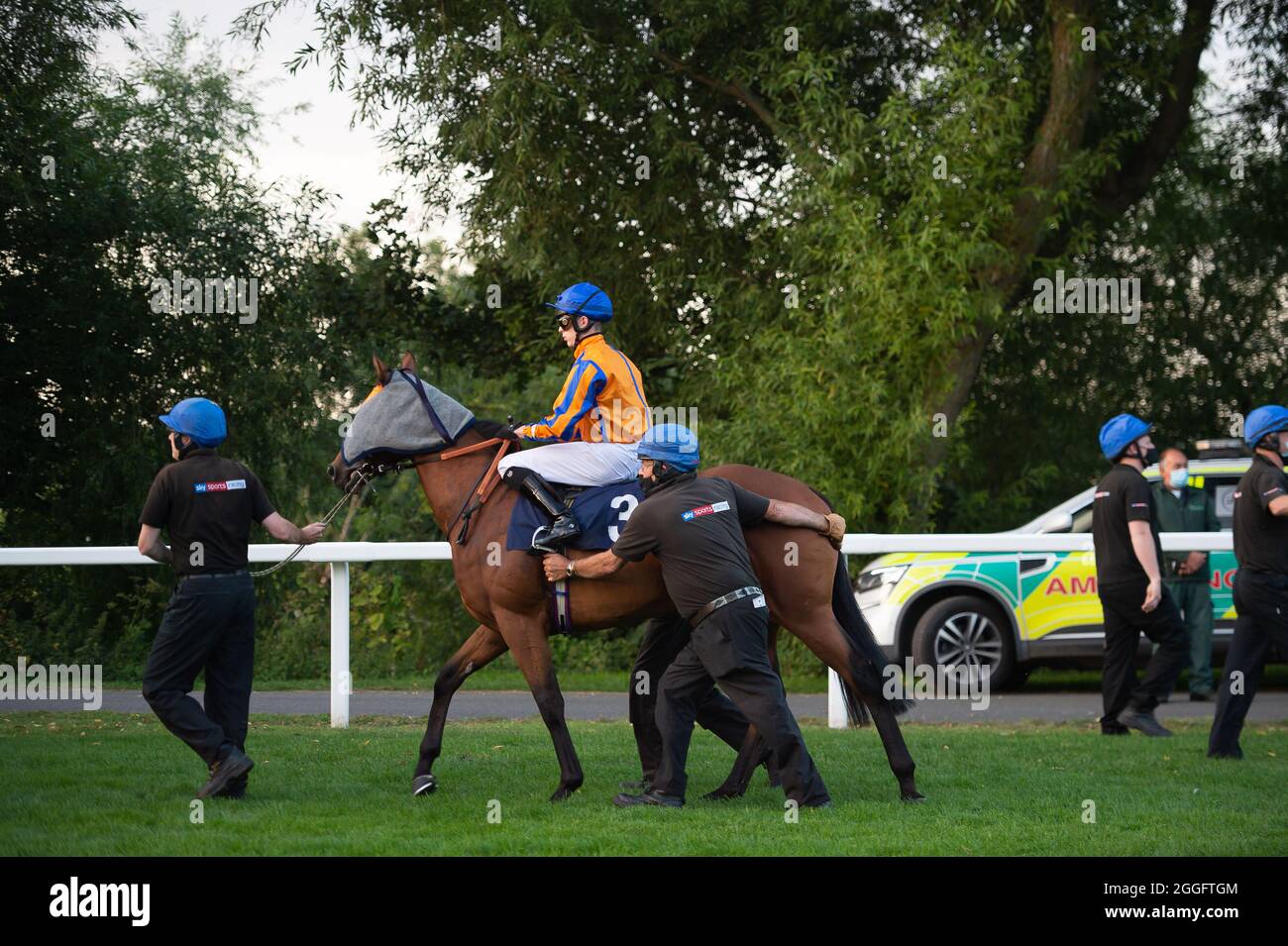 Kevin blake horse hi-res stock photography and images - Alamy