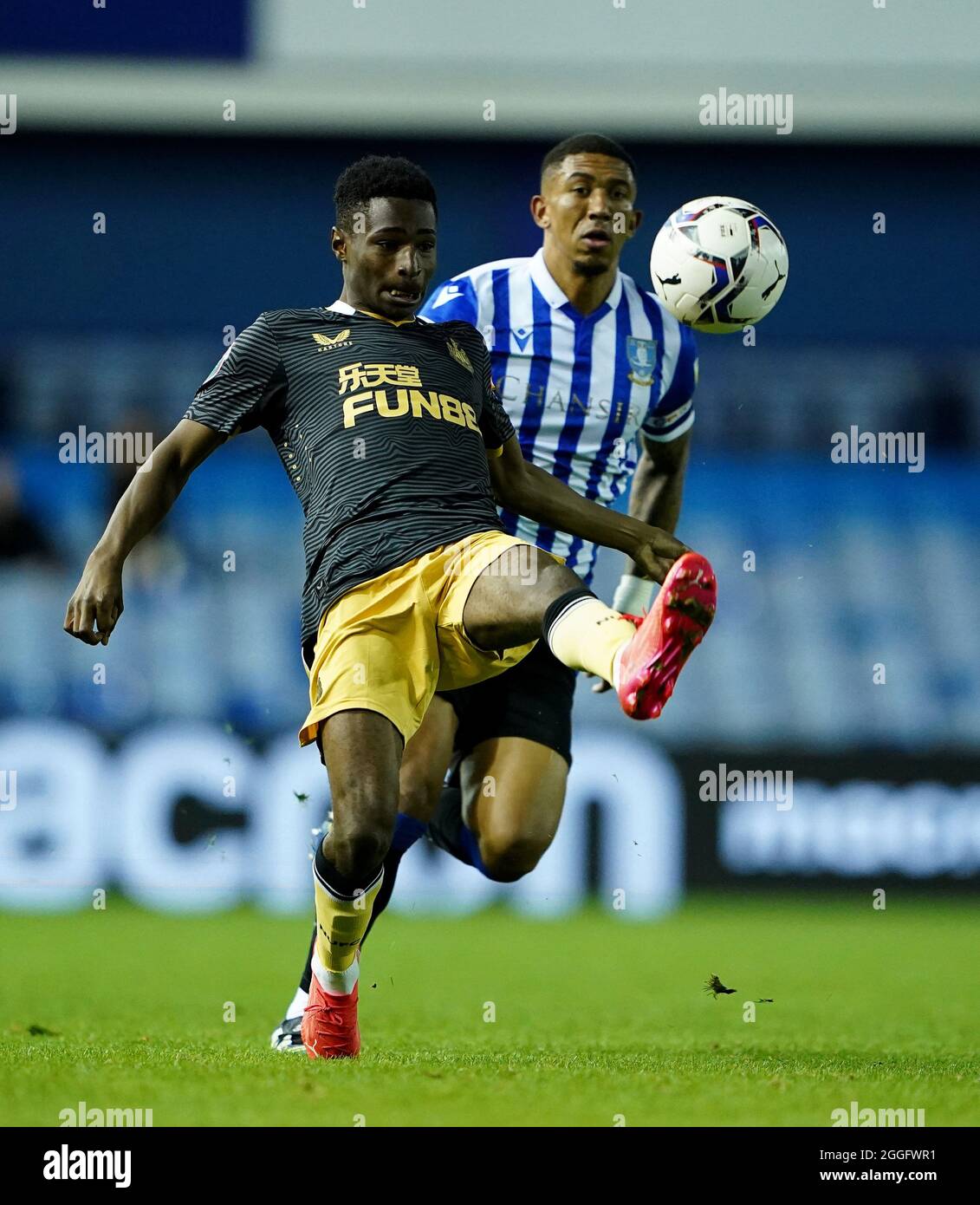 Matty palmer hi-res stock photography and images - Alamy